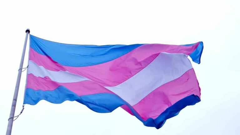 All About the Transgender Symbol - My Transgender Blog
