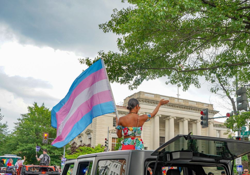 All About Transgender Day of Visibility - My Transgender Blog