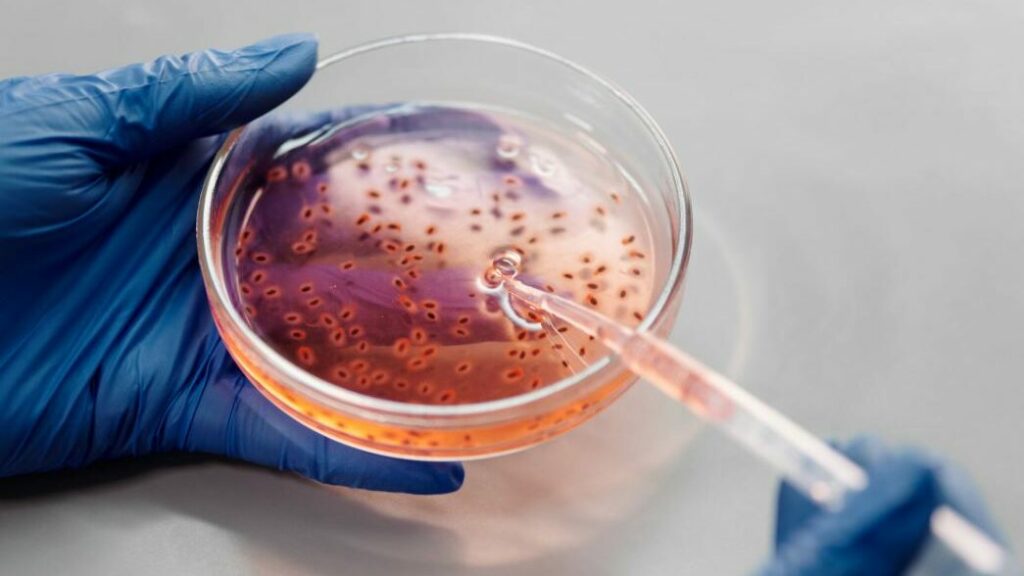 Transgender Sports and the Athletes - My Transgender Blog