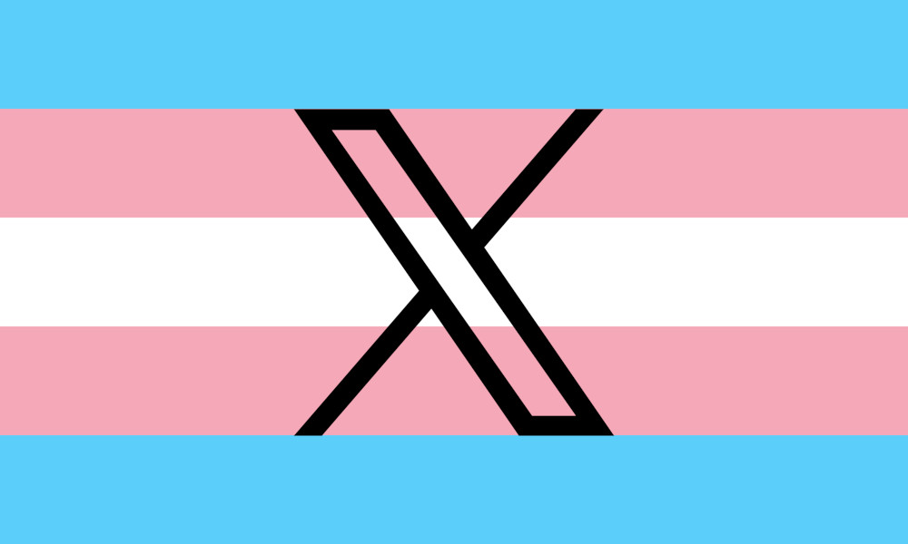 10+ Transgender X Profiles That Are Changing the Internet - My ...