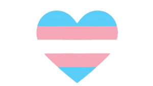 10+ Transgender X Profiles That Are Changing the Internet - My ...