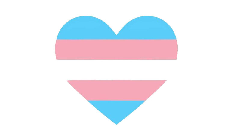 10+ Transgender X Profiles That Are Changing the Internet - My ...